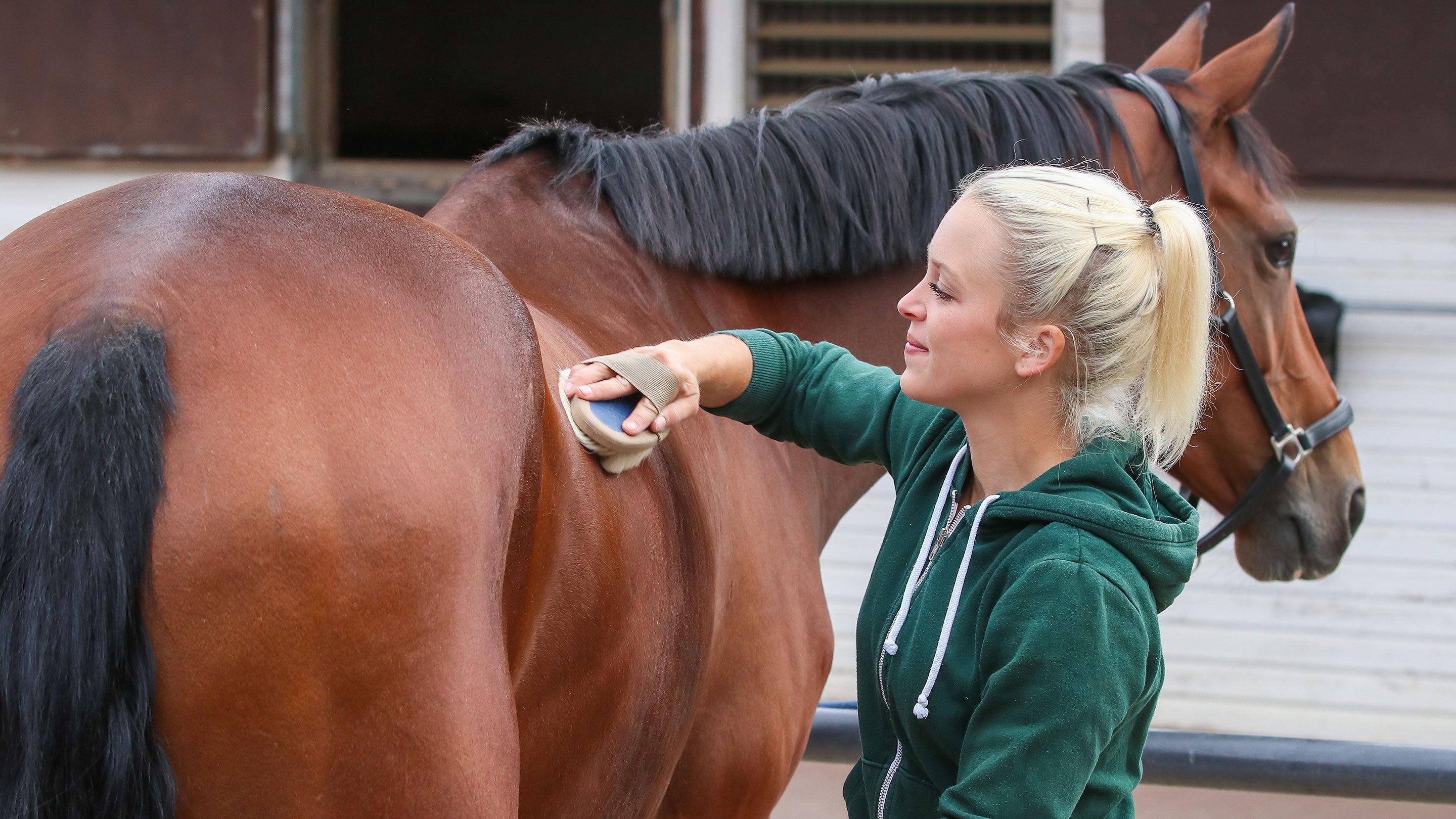 All Grooming – HB Horsewear