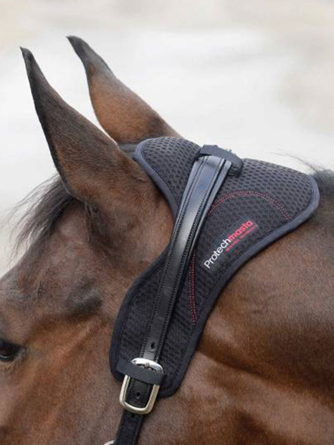 Protechmasta TherapeuticInfrared Poll Pad – HB Horsewear